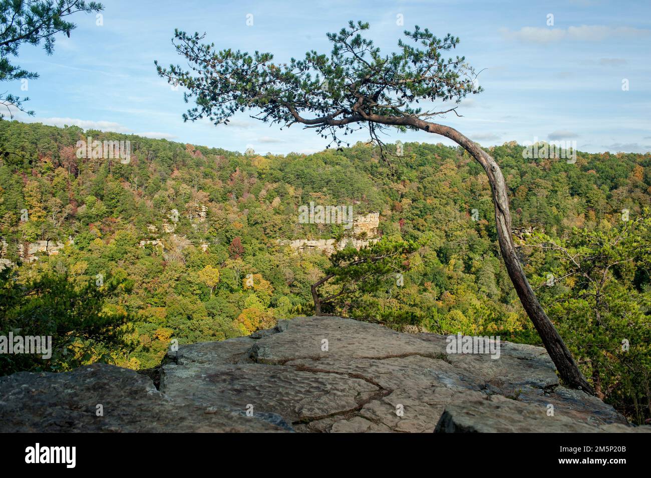 One of the viewpoints along the Scenic Loop Road in Fall Creek Falls ...