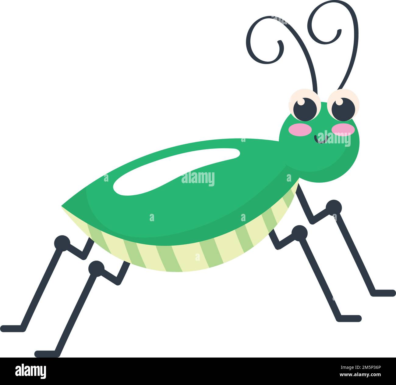 green cricket insect animal Stock Vector Image & Art - Alamy