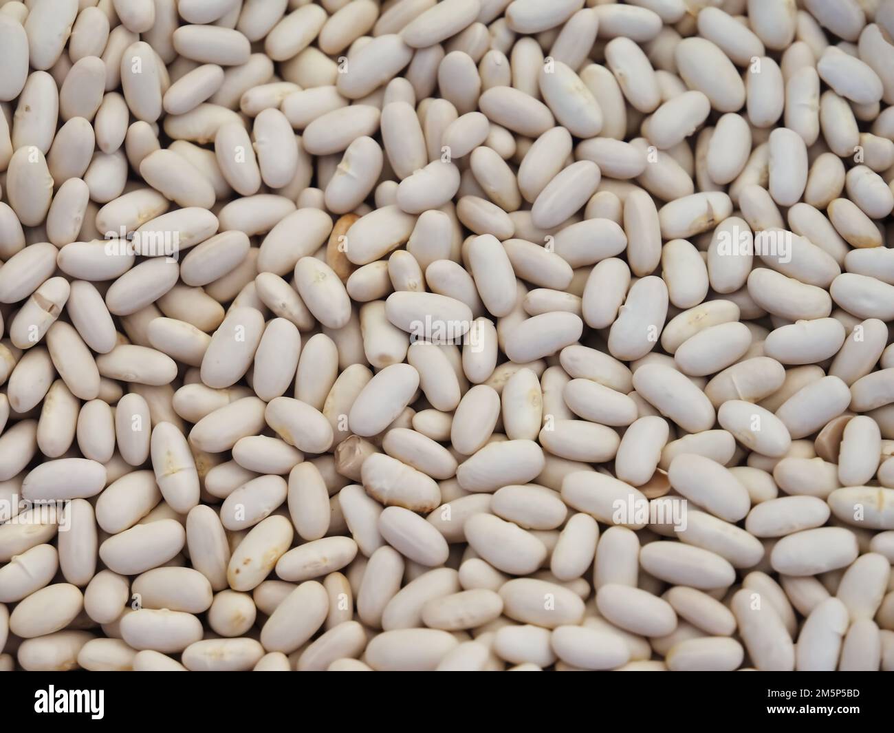 Whole lot hi-res stock photography and images - Alamy