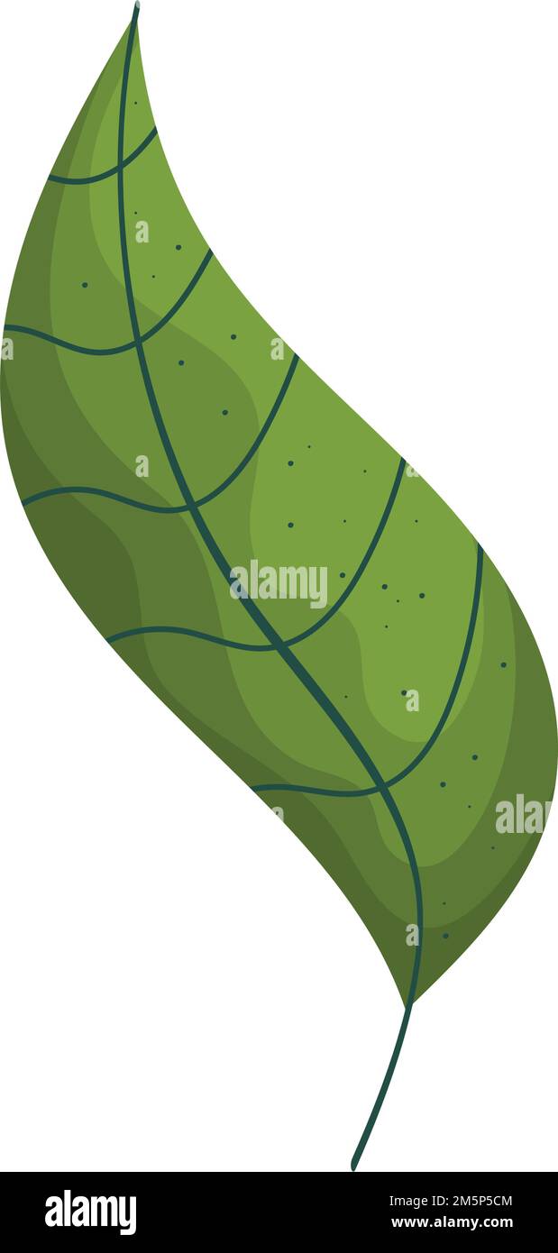 green leave plant foliage Stock Vector Image & Art - Alamy