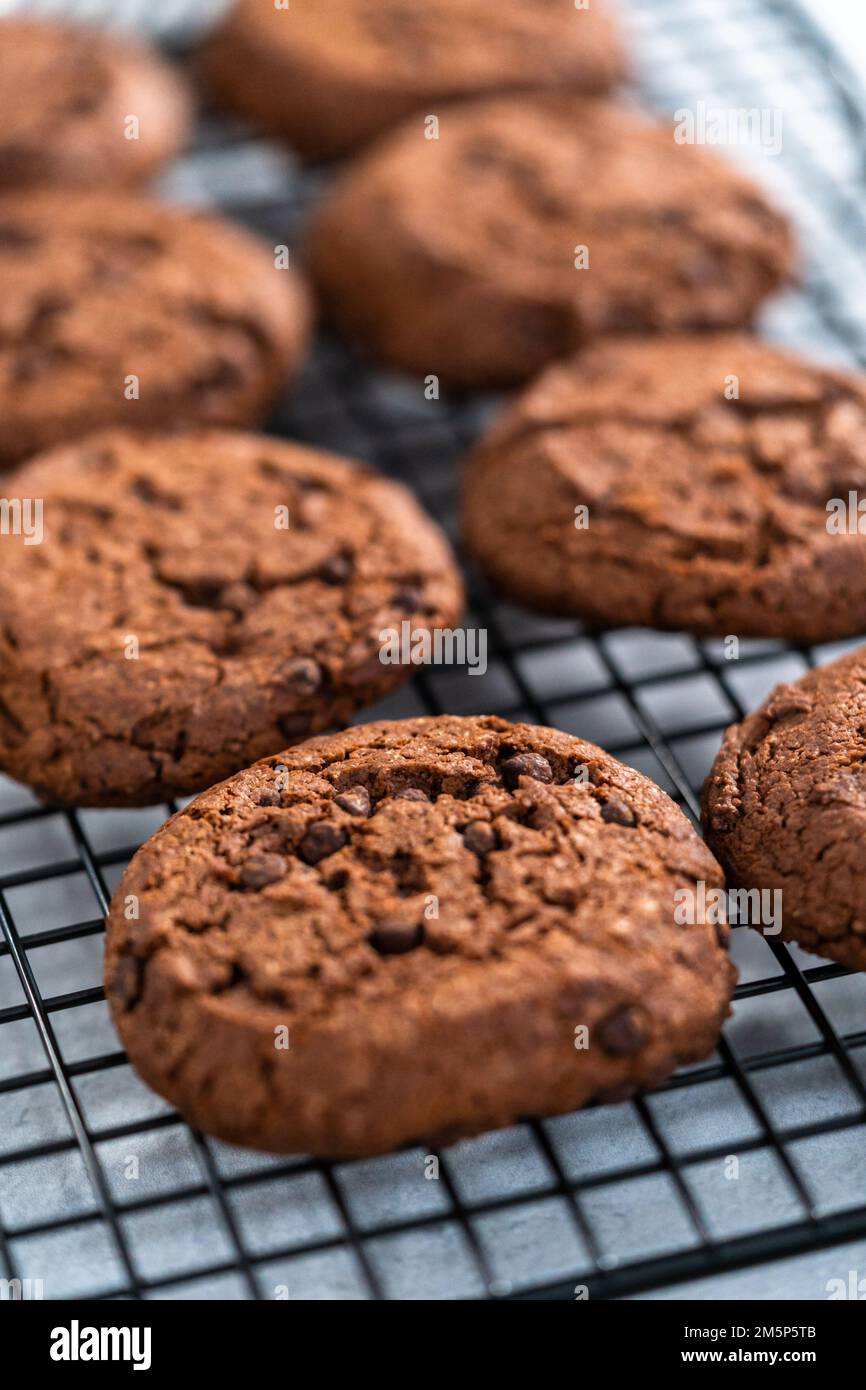 Double chocolate chip cookies Stock Photo - Alamy