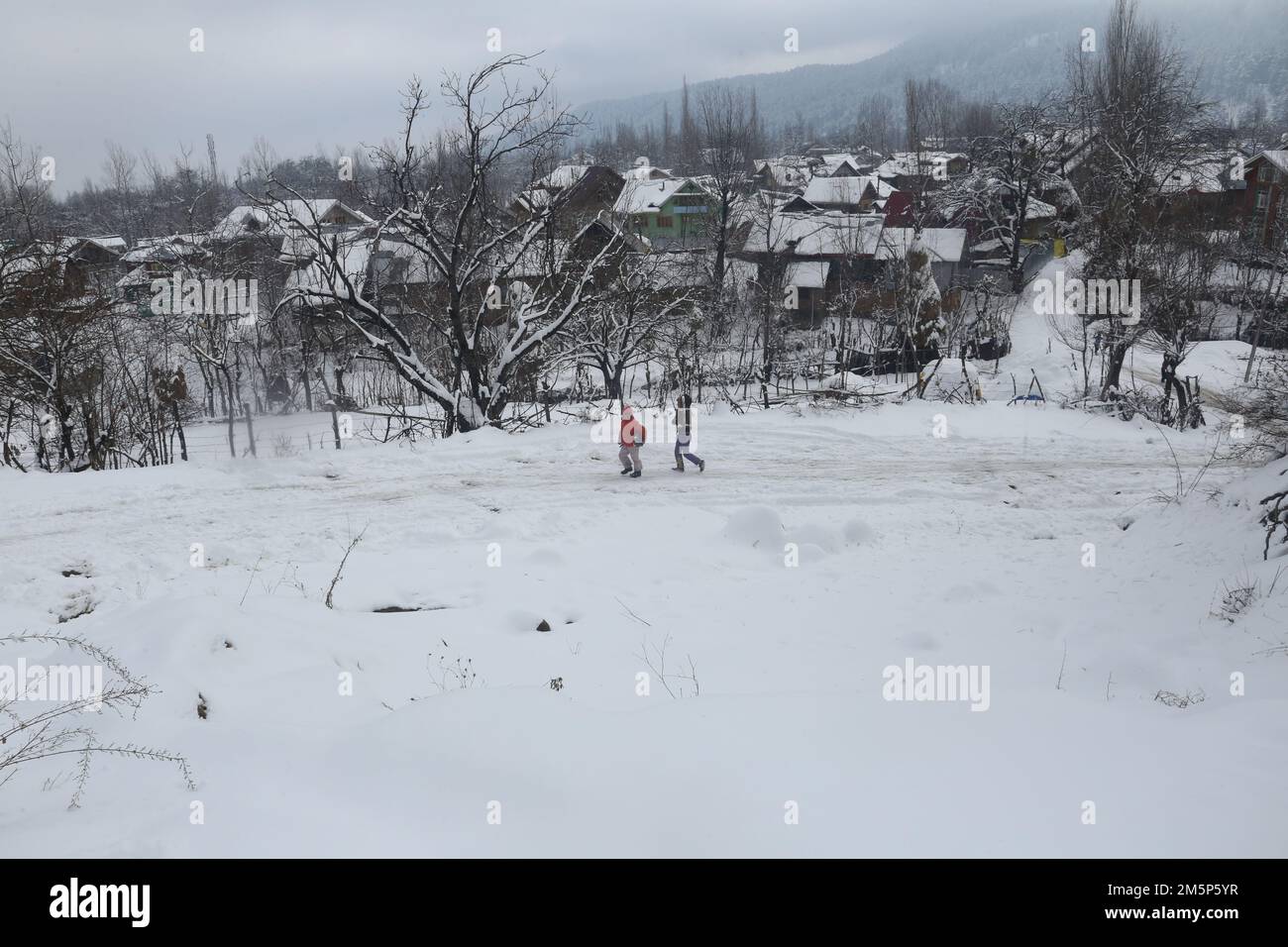 Snowfall 30 jpg hi-res stock photography and images - Alamy