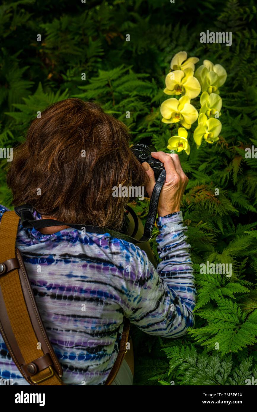 HAWAII TROPICAL BIORESERVE & GARDEN HILO HAWAII HAWAII USA Stock Photo ...