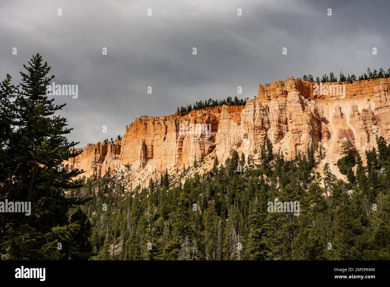 Rain Clouds Smear Over the Rim of Bryce Canyon from trail below Stock ...