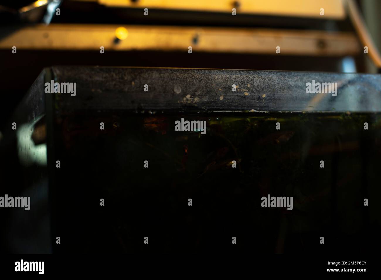 Old aquarium. Aquarium for fish. Glass wall. Water tank. Worn-out ...