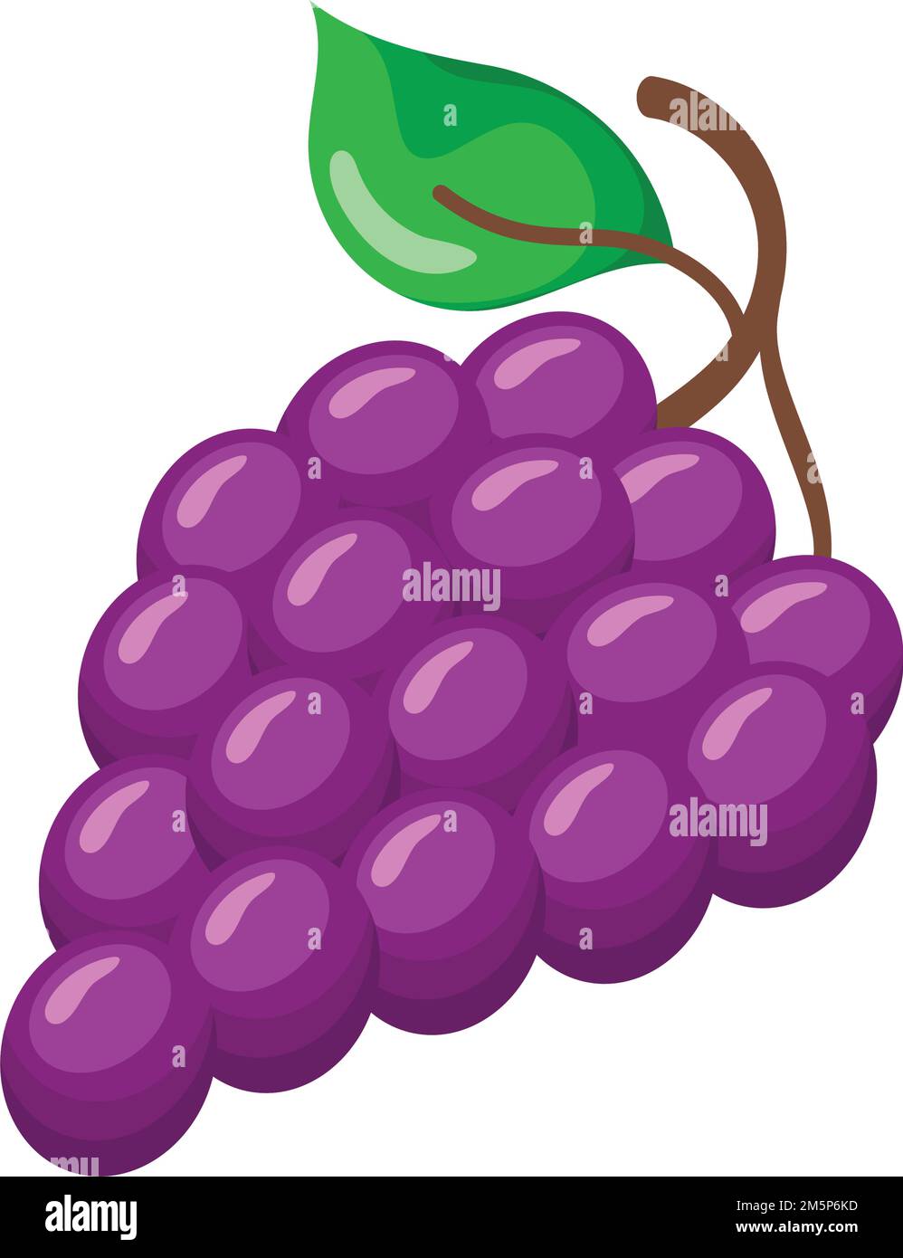 fresh grapes fruit healthy Stock Vector Image & Art - Alamy