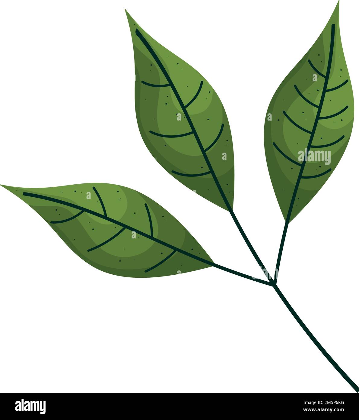 leafs plant foliage Stock Vector Image & Art - Alamy