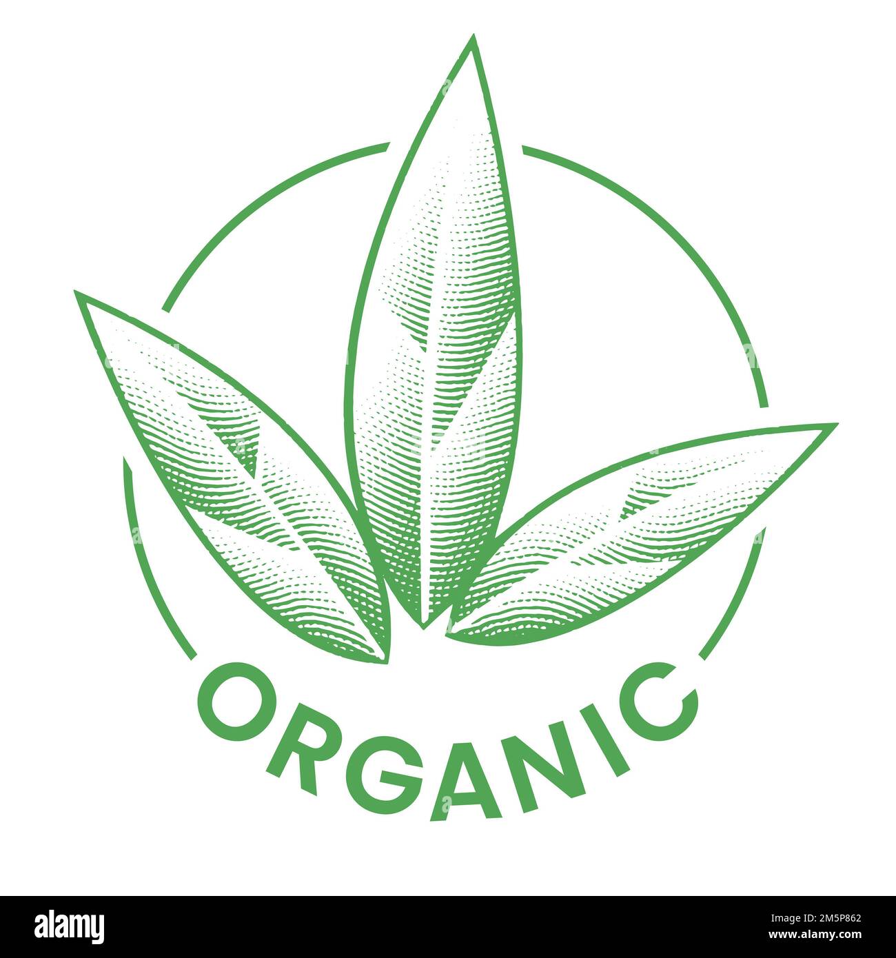 Organic Engraved Round Icon with 3 Green Leaves isolated on a White ...