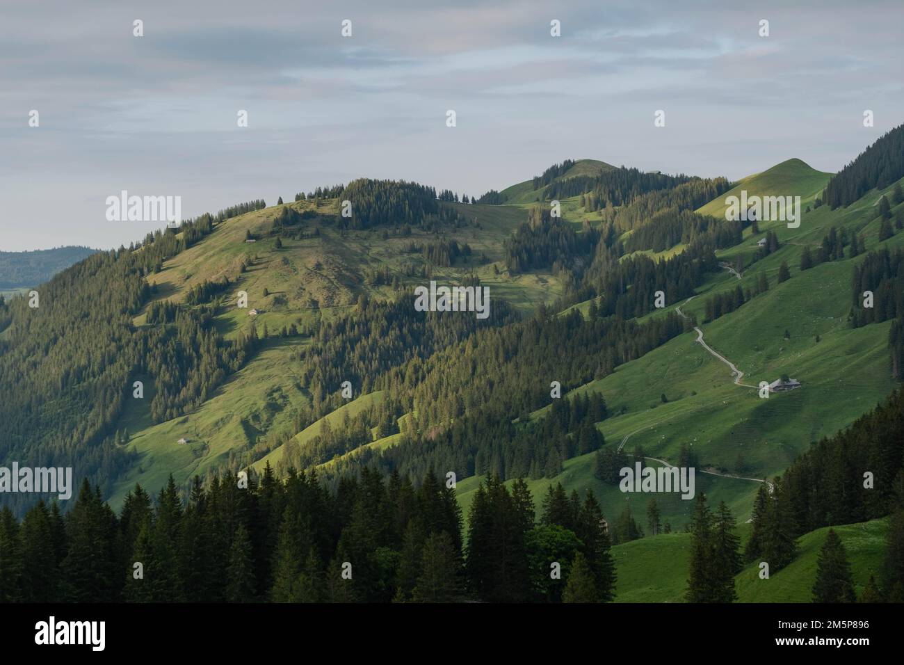 Swiss mountains in spring cloudy with a forest and a road and a few ...