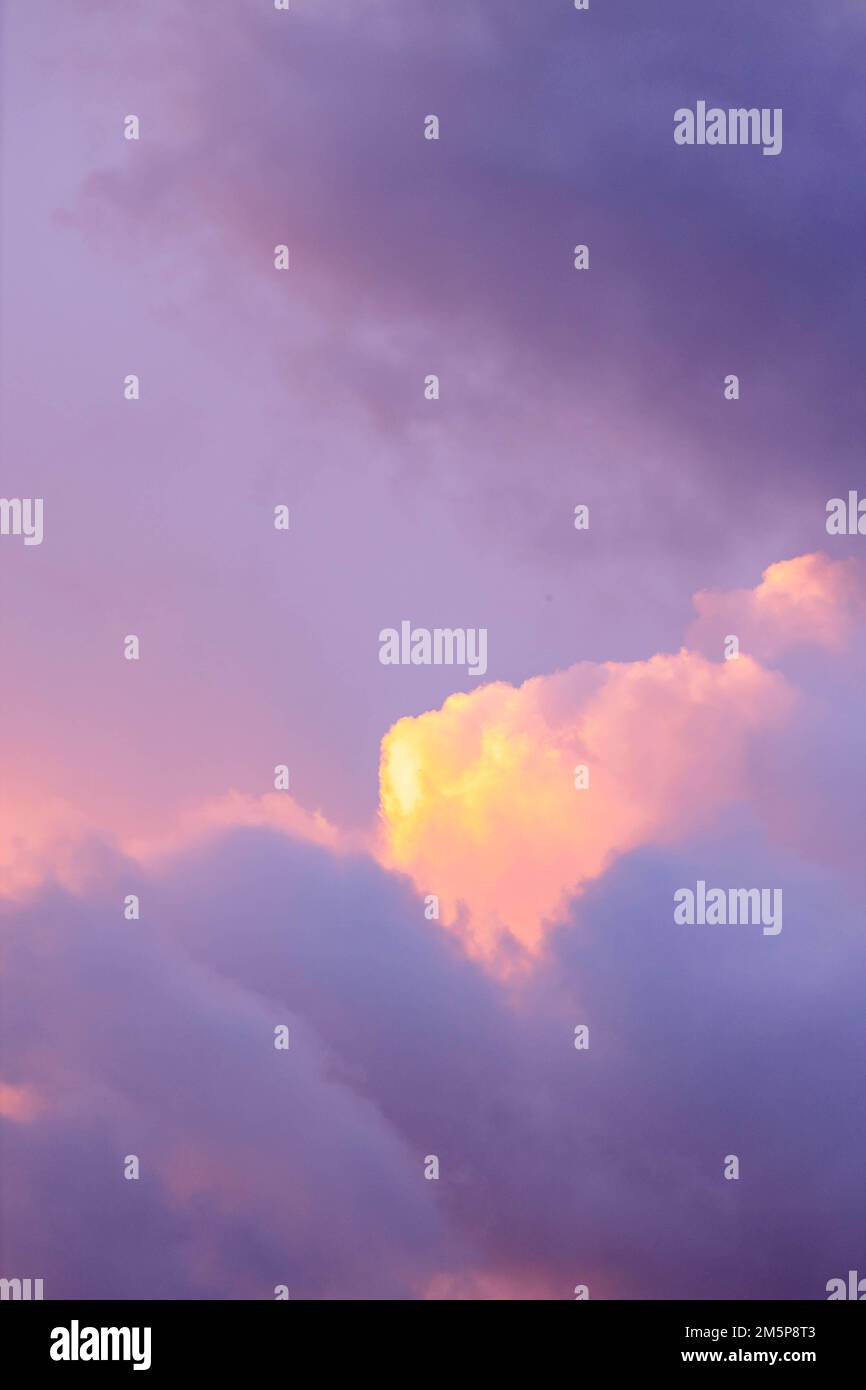 A vertical shot of a Beautiful scene of the sunset in purple color ...