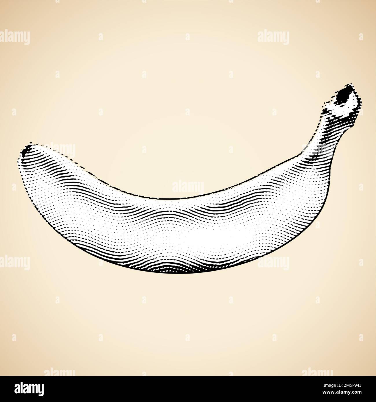 Illustration of Scratchboard Engraved Banana with White Fill Stock ...