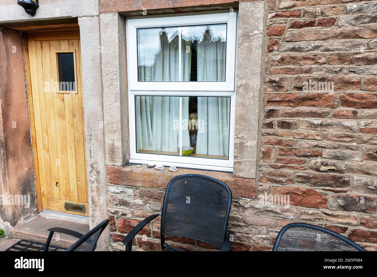 Peeking Through Window Funny