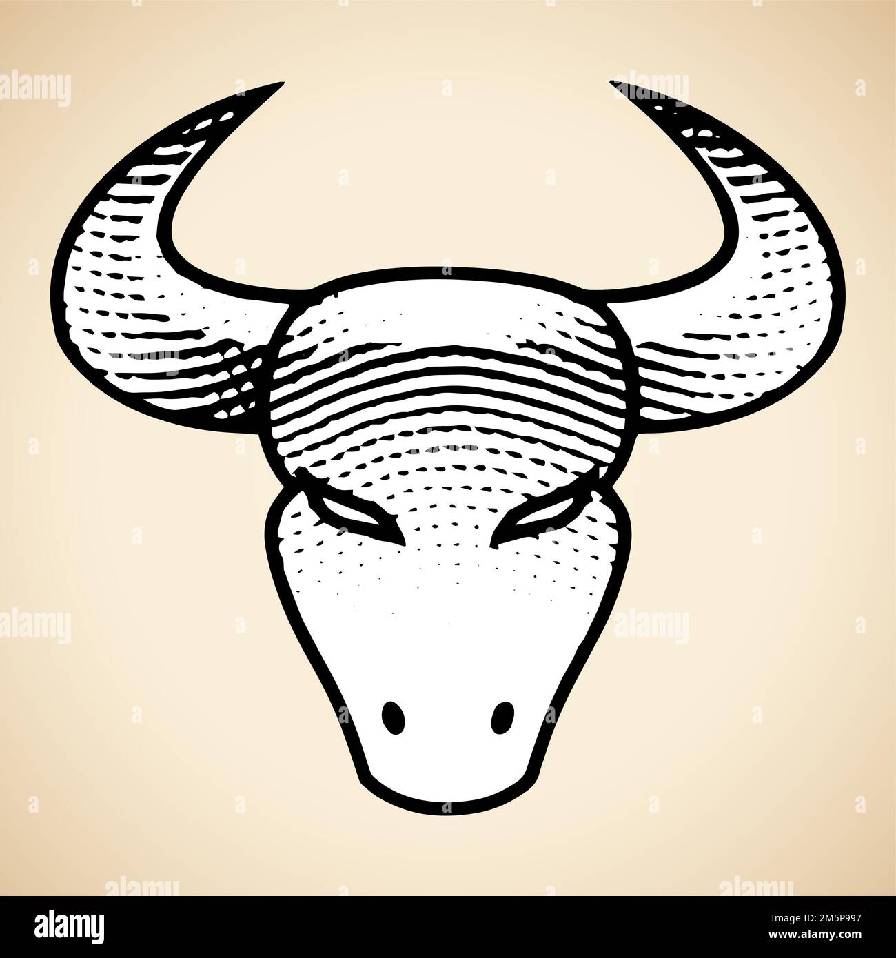 Illustration of Scratchboard Engraved Bull Front View with White Fill ...