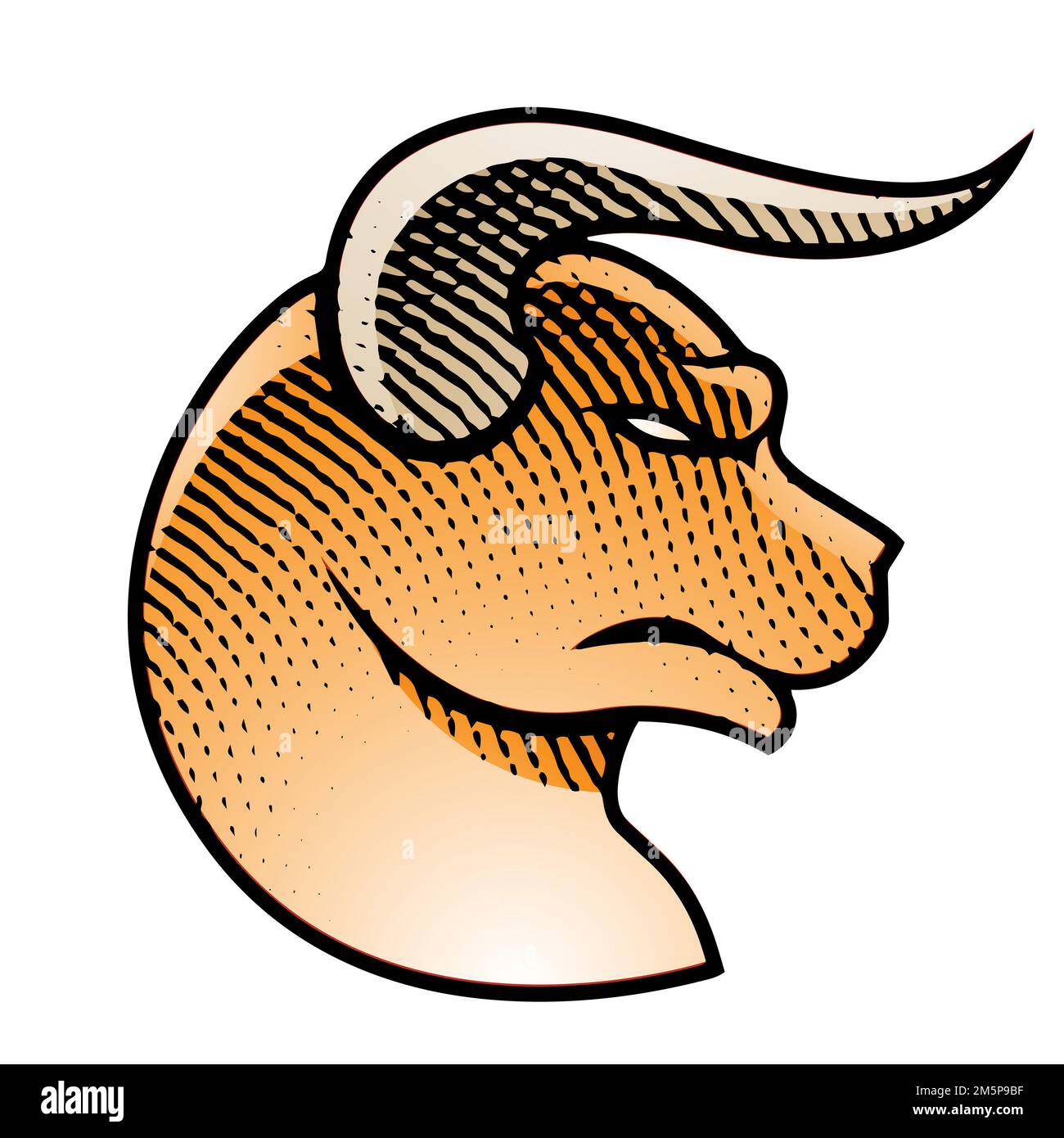 Illustration of Scratchboard Engraved Bull Profile View with Colorful ...