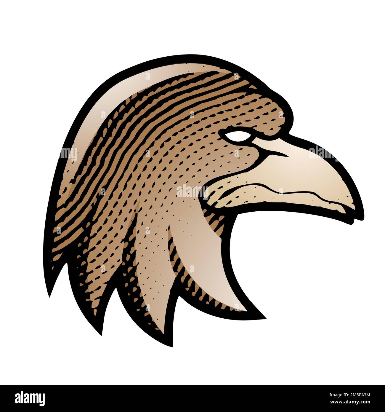 Illustration of Scratchboard Engraved Eagle with Colorful Fill isolated ...