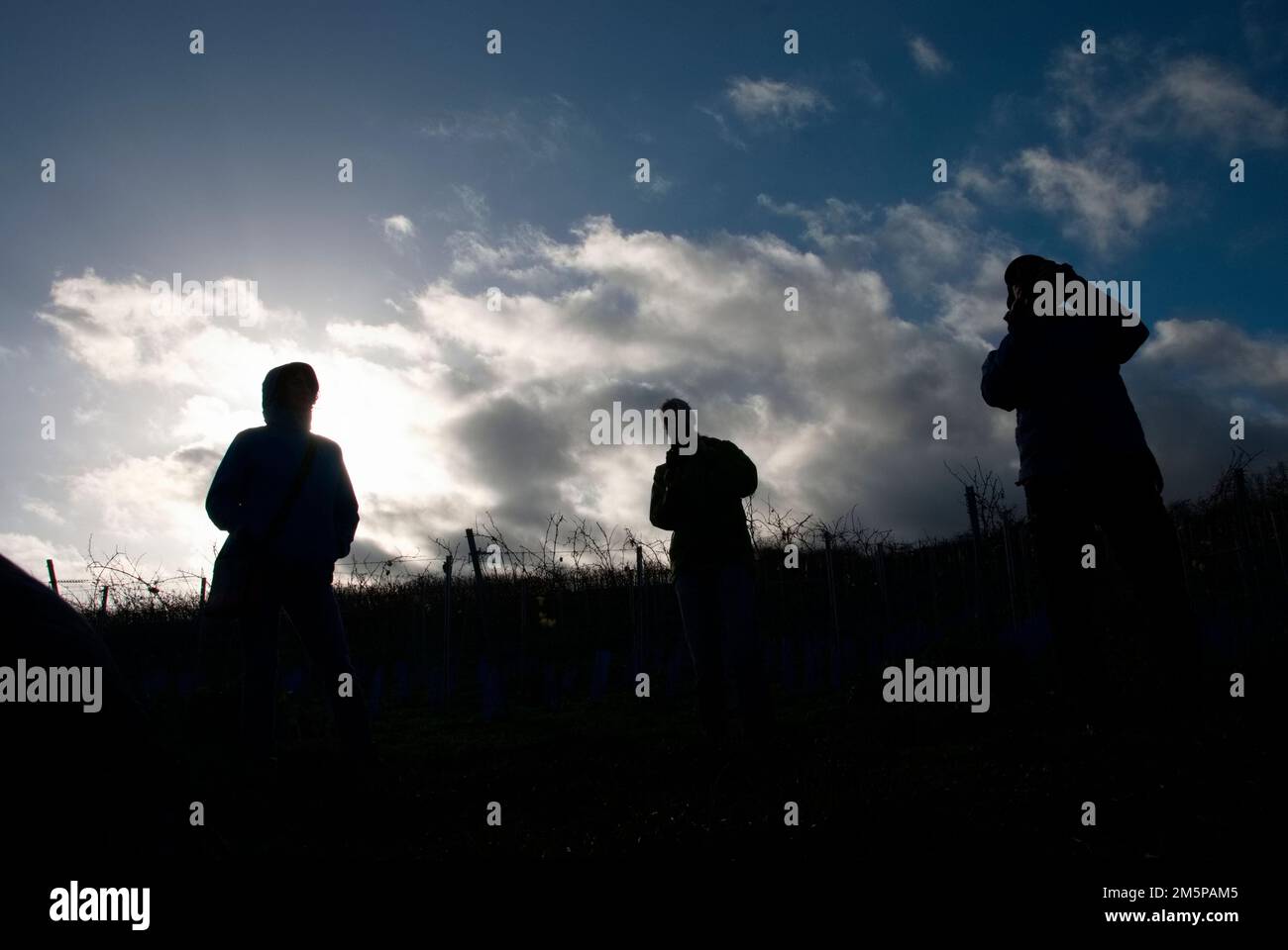 Beautiful sunsets over land and civilization Stock Photo - Alamy
