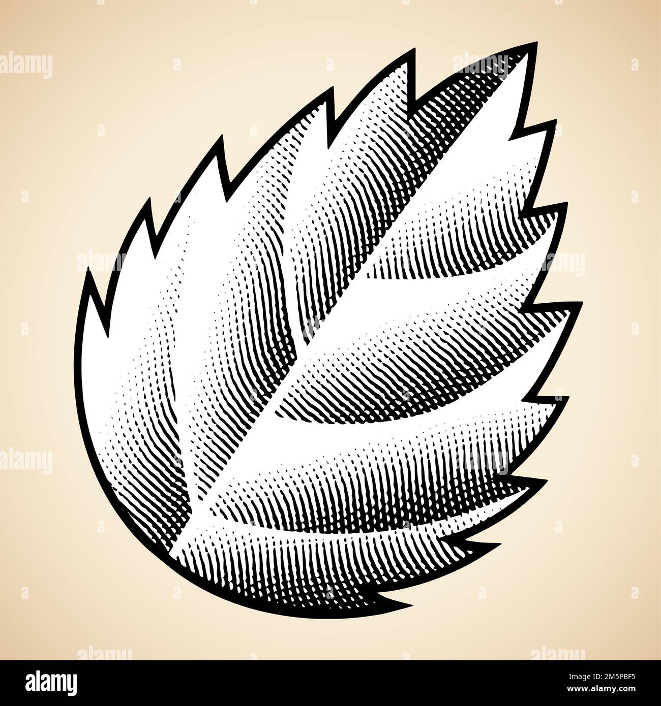Nettle leaf icon cartoon hi-res stock photography and images - Alamy