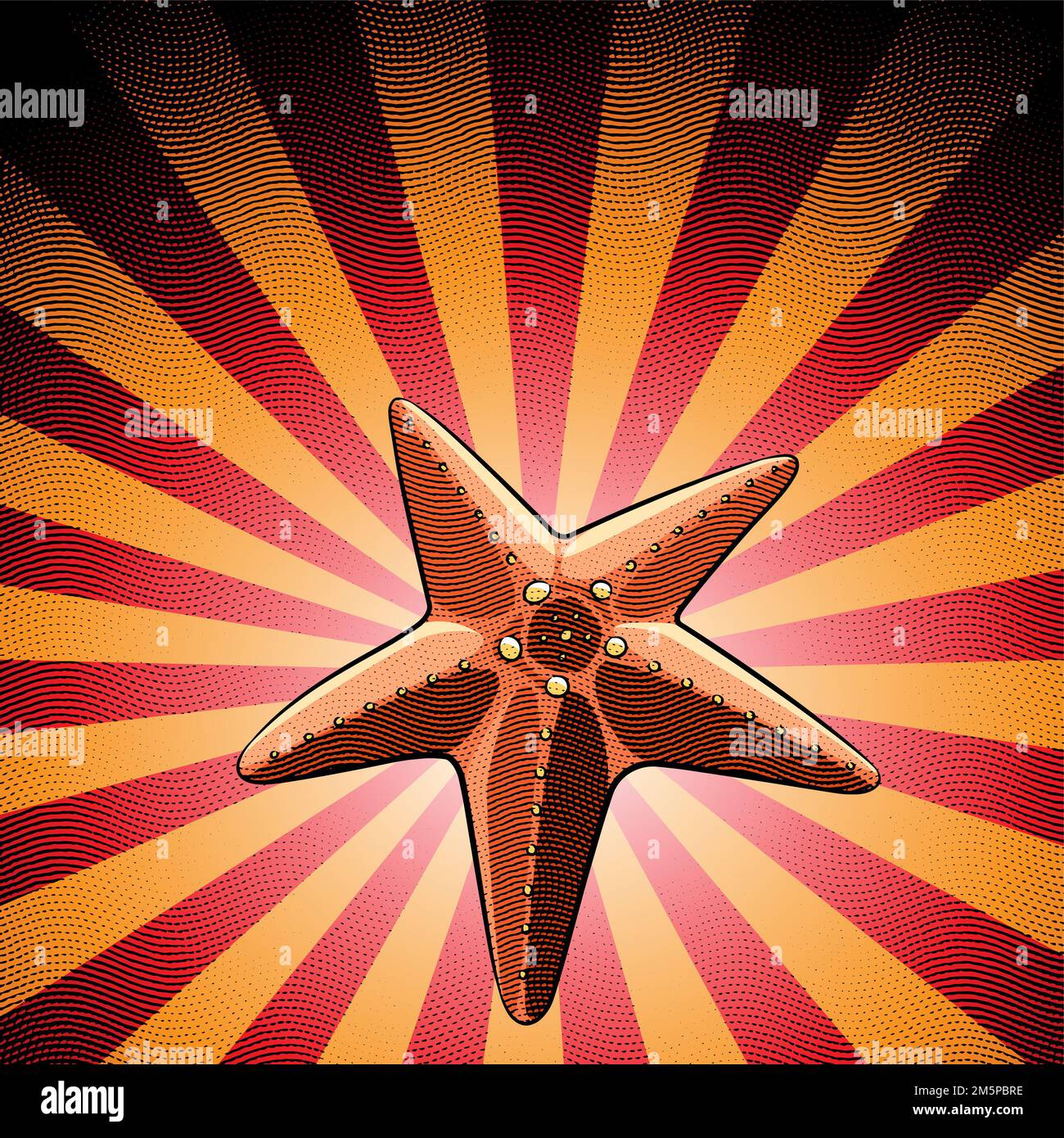 Illustration of Scratchboard Engraved Starfish over a Red Striped ...