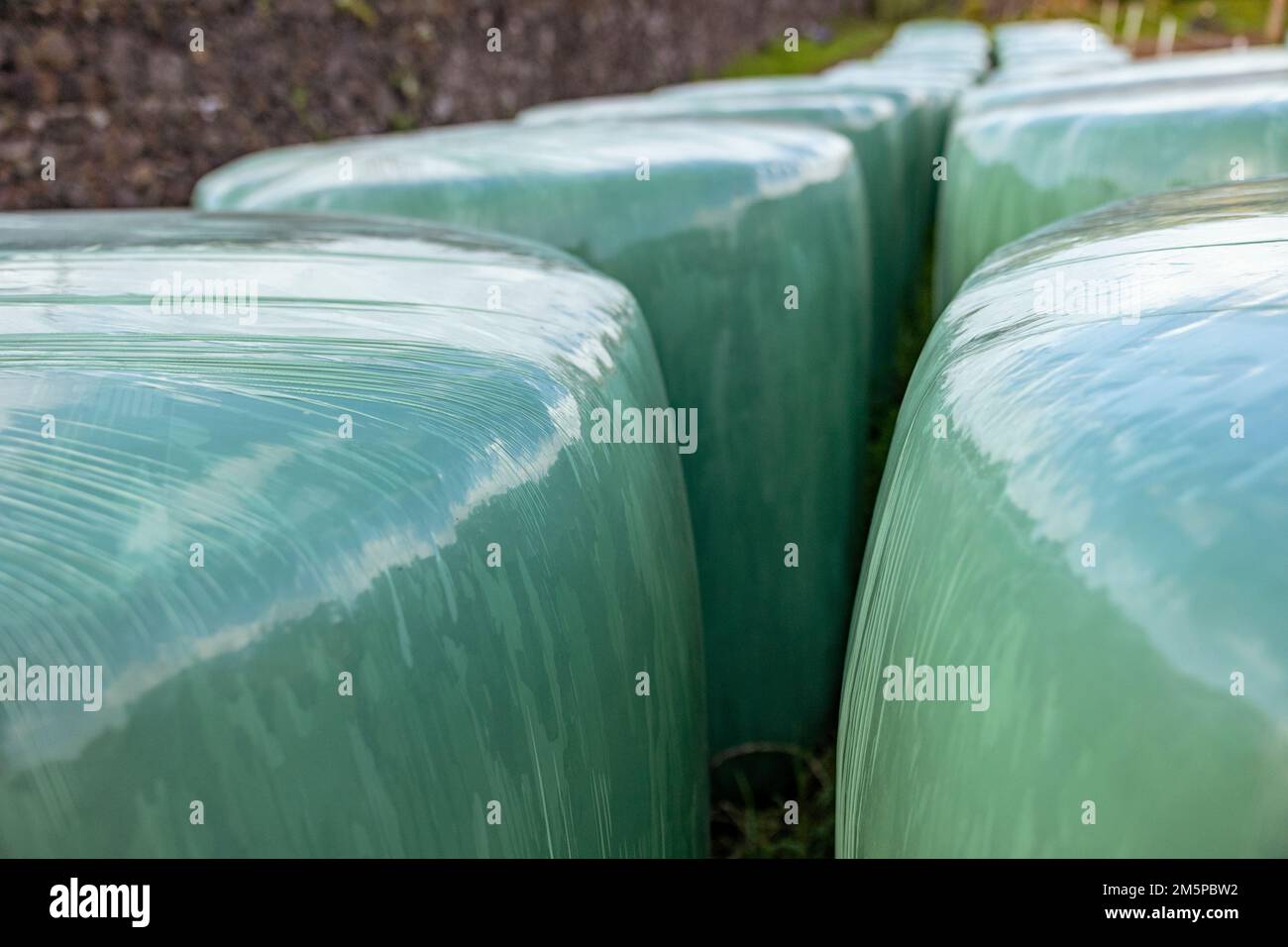 Open hay bale hi-res stock photography and images - Alamy