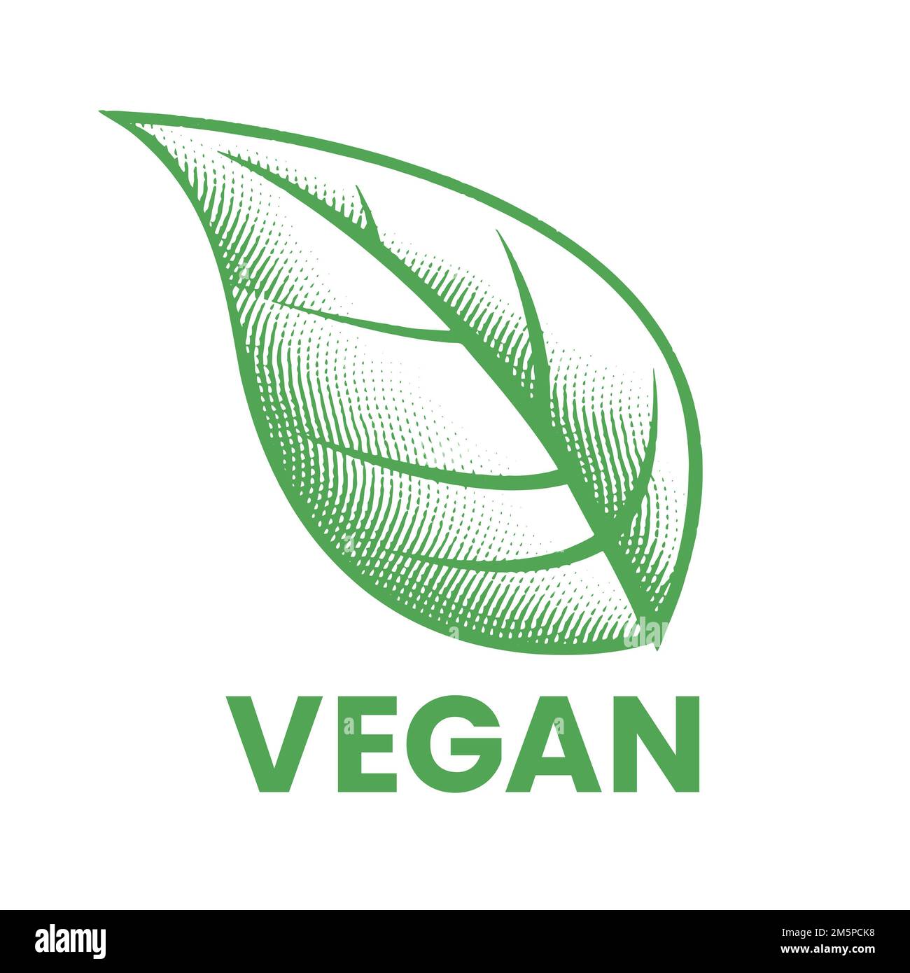 Vegan Icon with Green Engraved Leaf isolated on a White Background ...