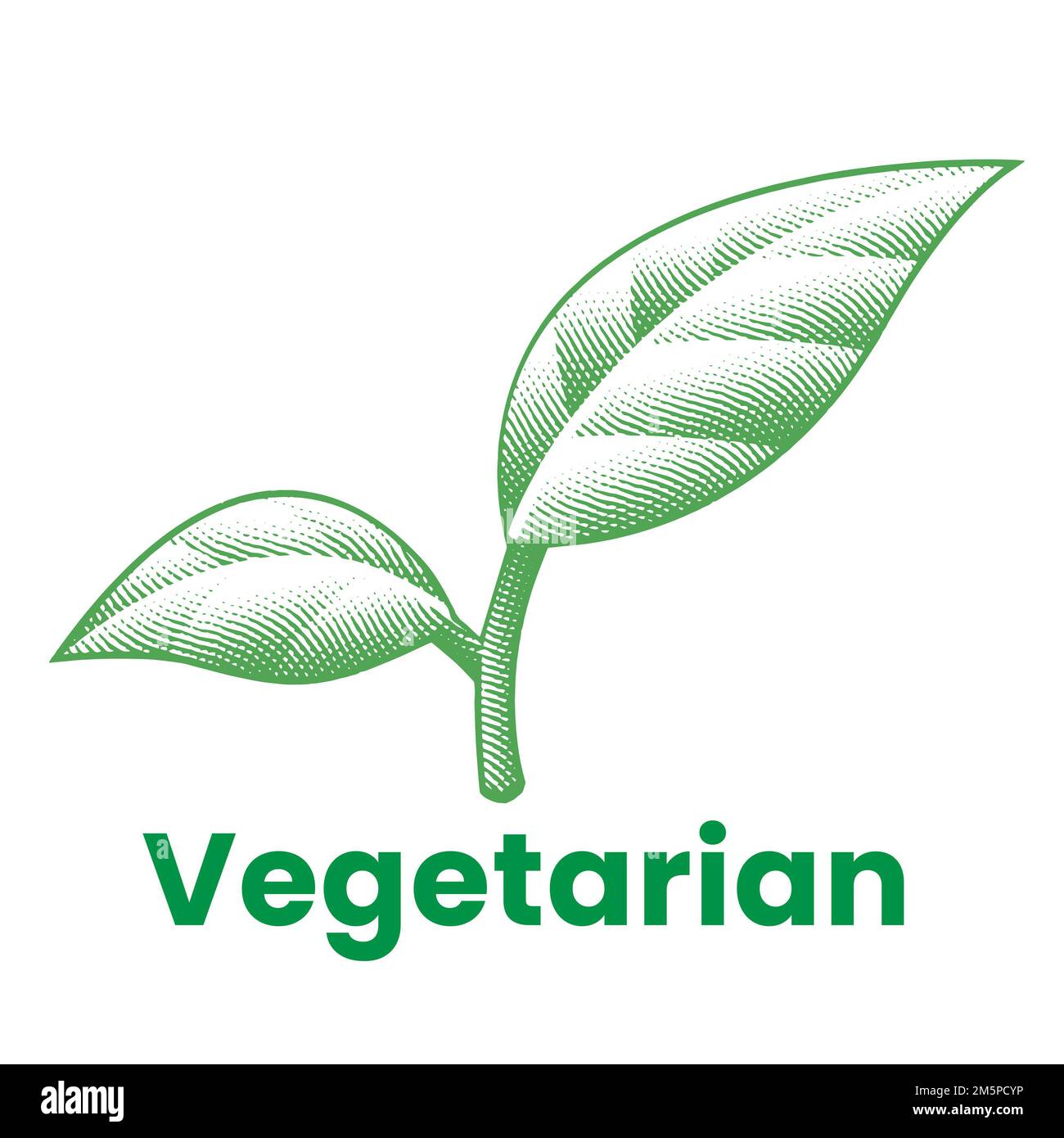 Vegetarian Engraved Green Leaves Icon isolated on a White Background ...