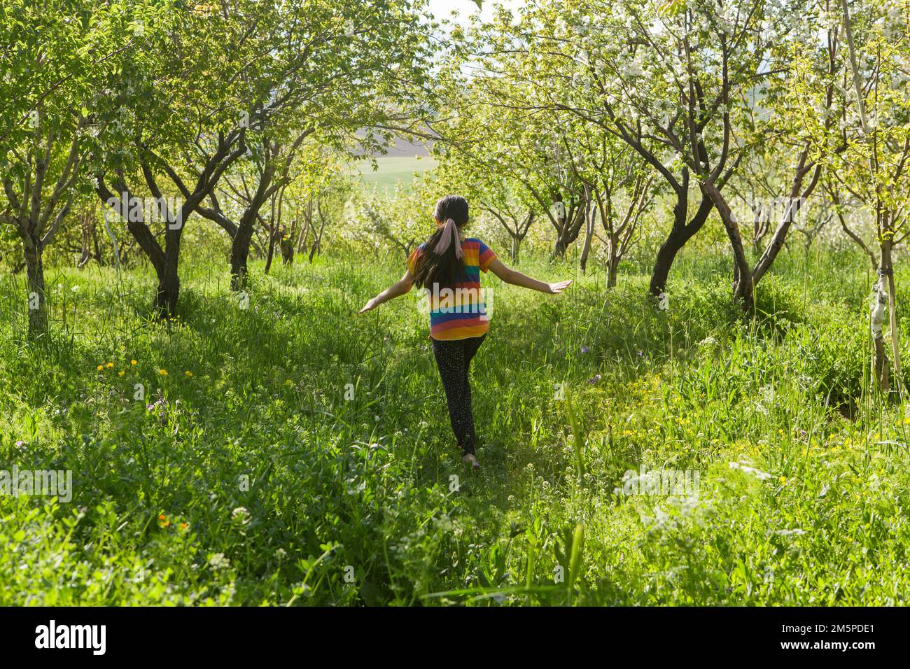 little girl running through the trees Stock Photo - Alamy