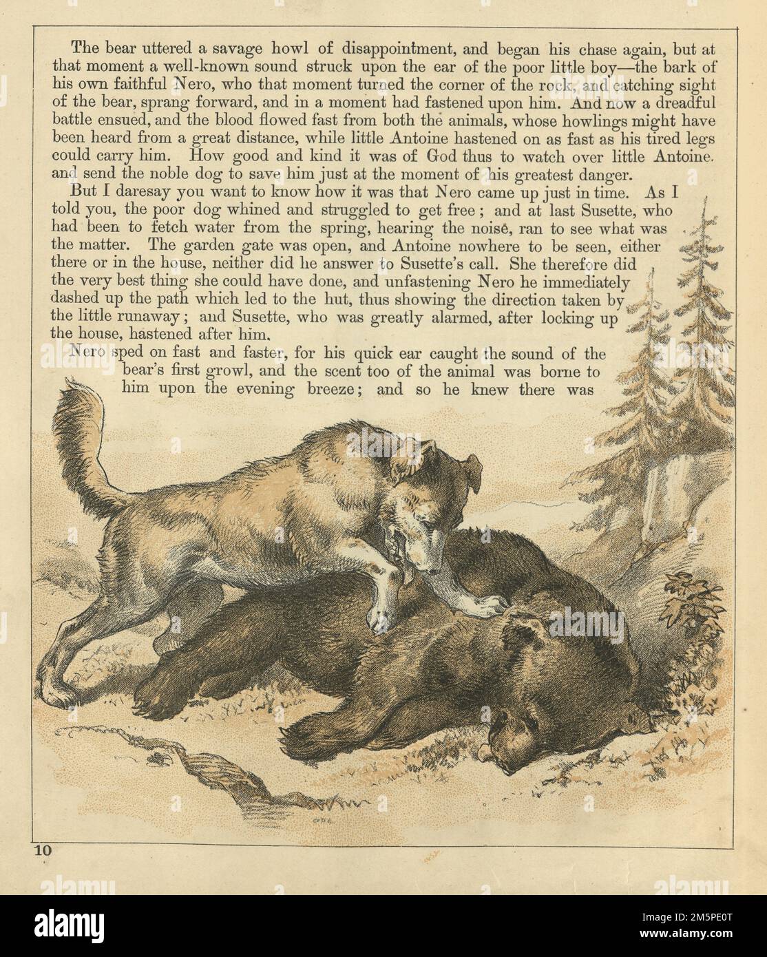 Vintage illustration, Little Antoine and the bear, Swiss mountain dog ...