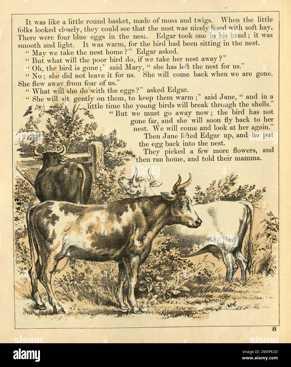 Baby Farming 19th Century