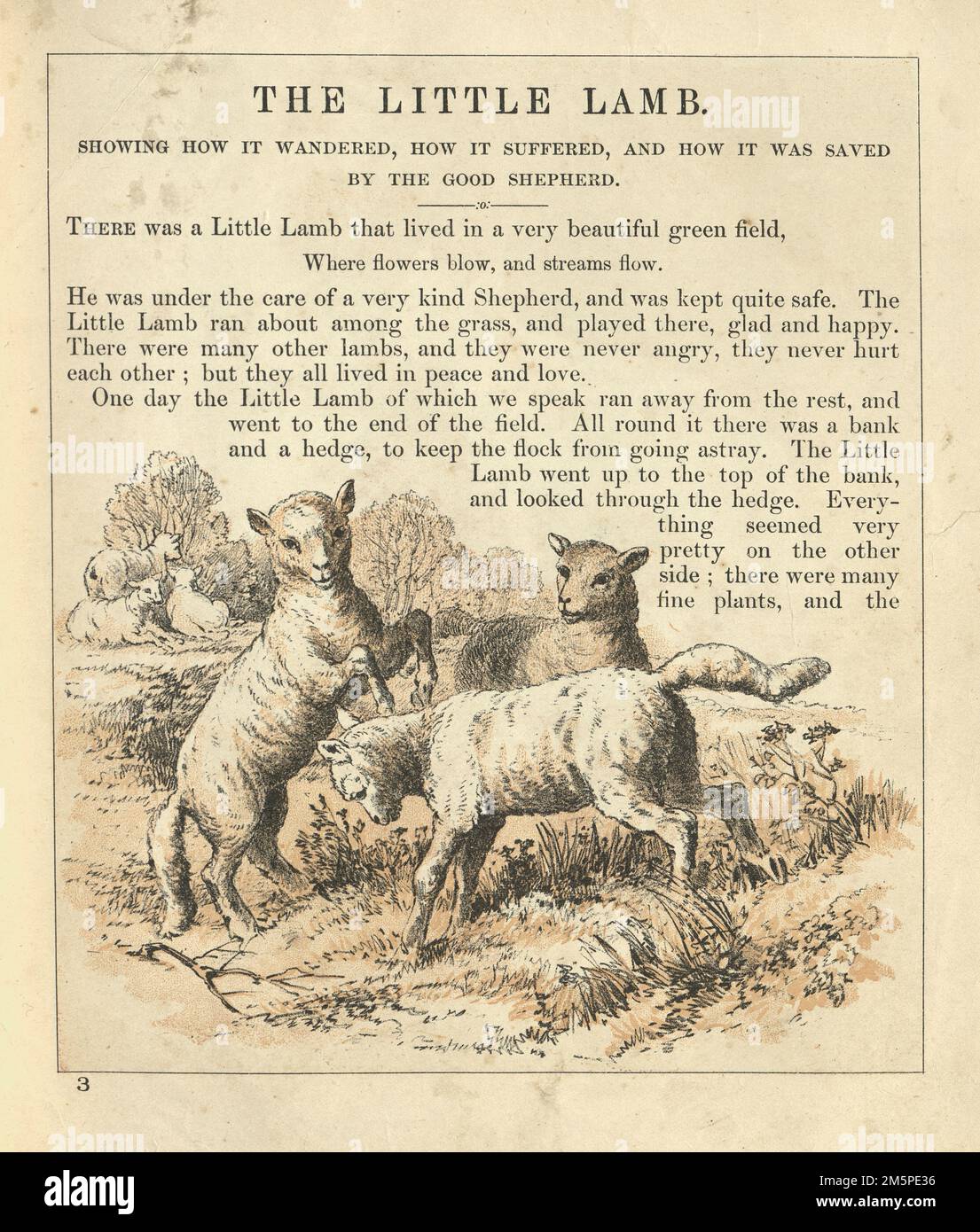 The Little lamb, how it was saed by the good shepherd, Christian ...
