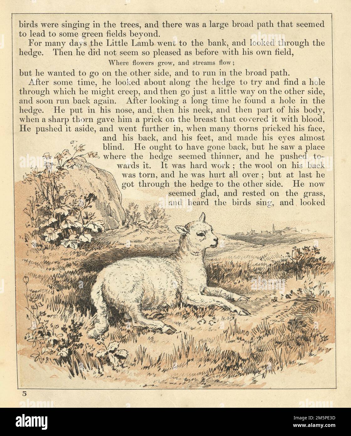 The Little lamb, how it was saed by the good shepherd, Christian ...