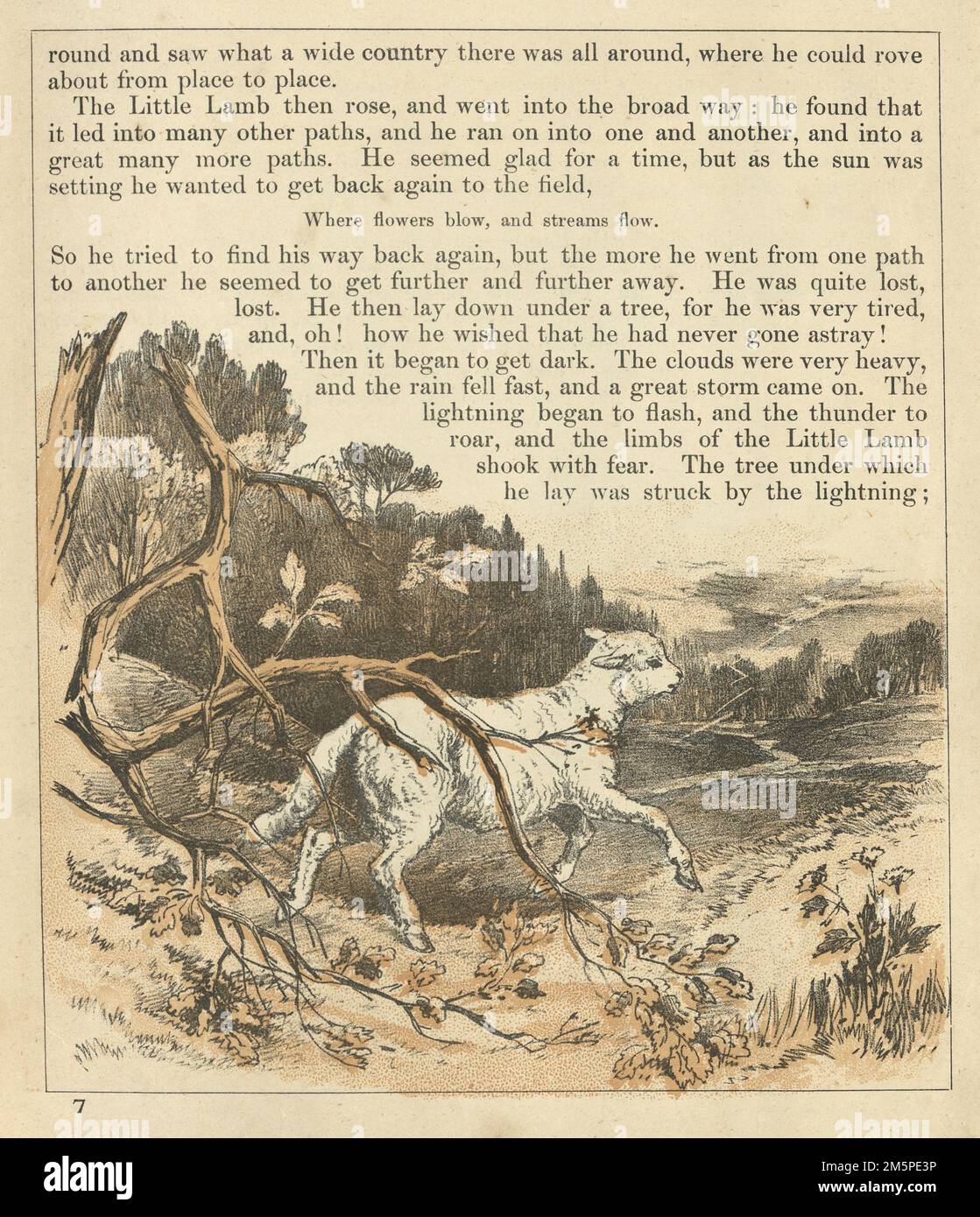 The Little lamb, how it was saed by the good shepherd, Christian ...