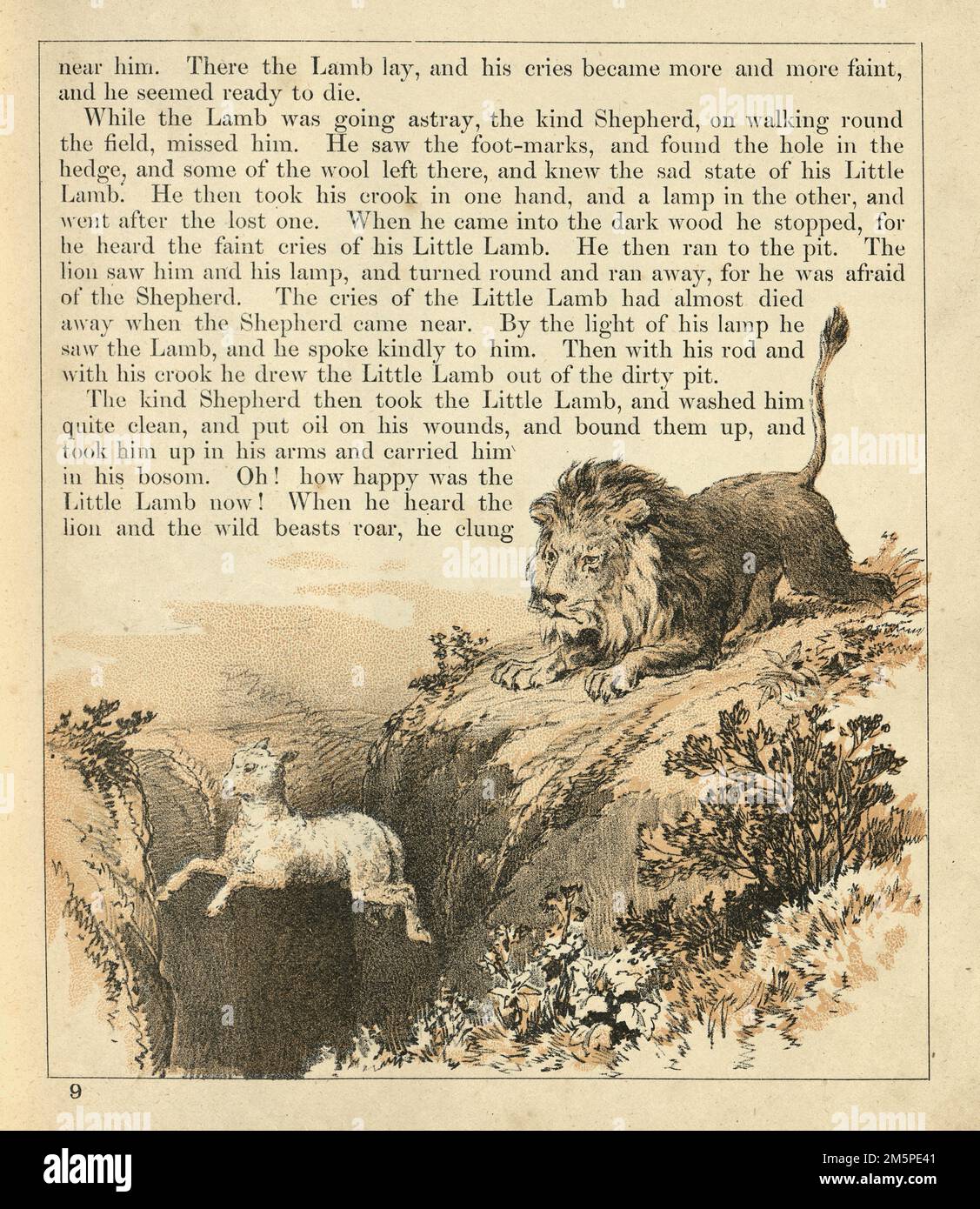 The Little lamb, how it was saved by the good shepherd, Christian ...
