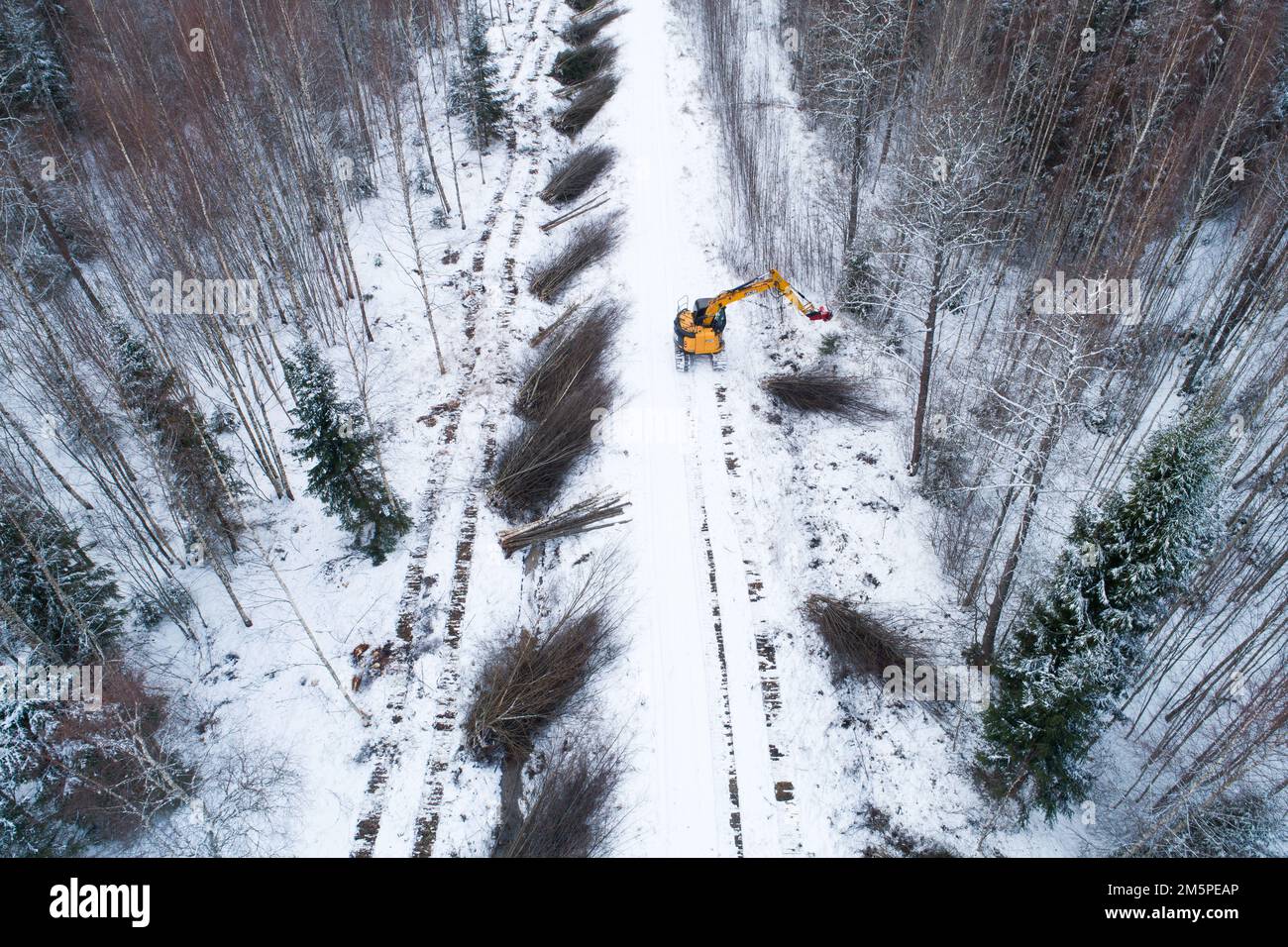 An aerial of a yellow guillotine cutting down energy wood and low-value ...