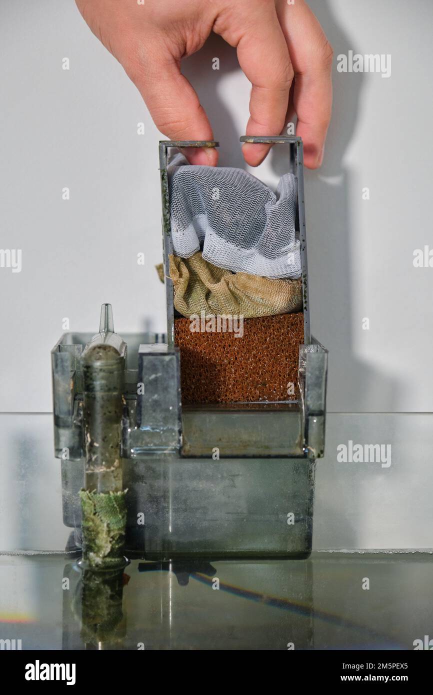 Hand placing filter materials in a fish tank waterfall filter after ...