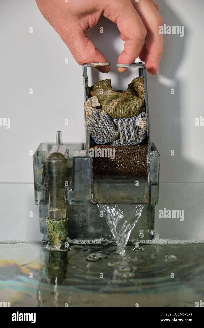 Close up hand disassembling fish hi-res stock photography and images ...