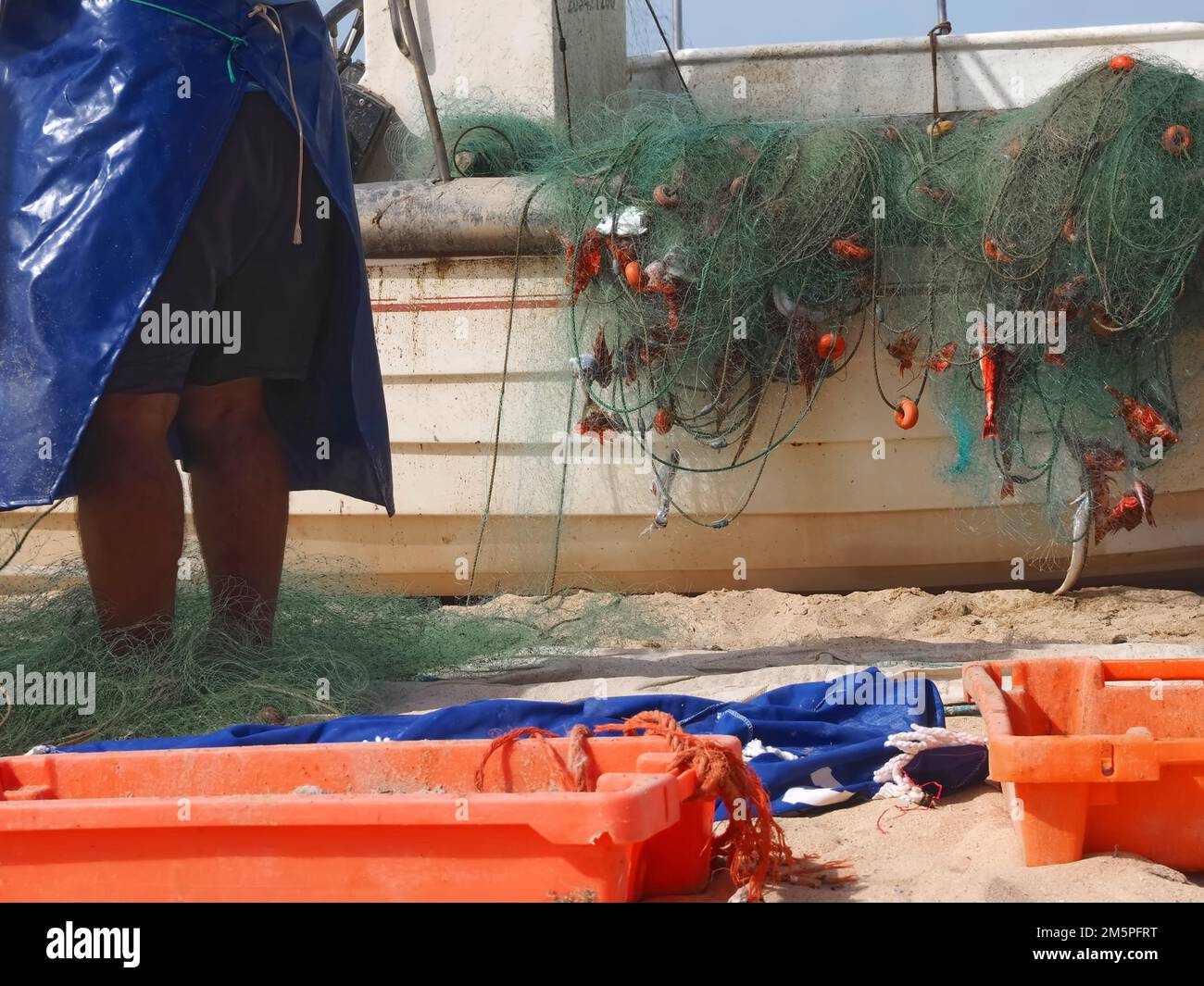 Many fish caught in a fisher net with a fisher man at a boat Stock ...