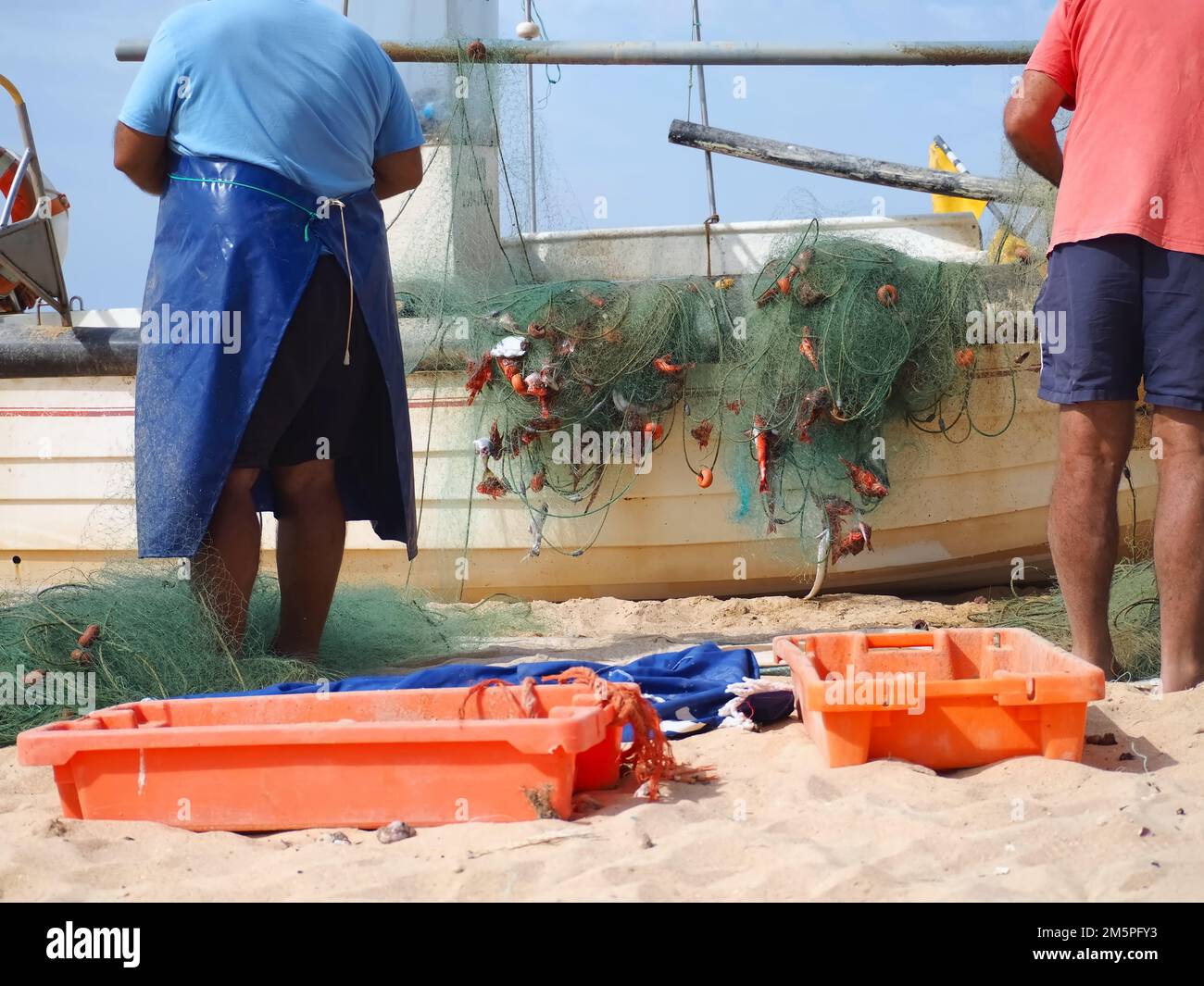 Many fish caught in a fisher net with a fisher man at a boat Stock ...