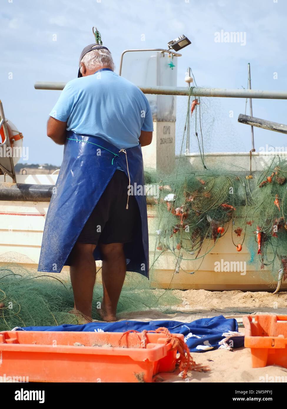 Many fish caught in a fisher net with a fisher man at a boat Stock ...