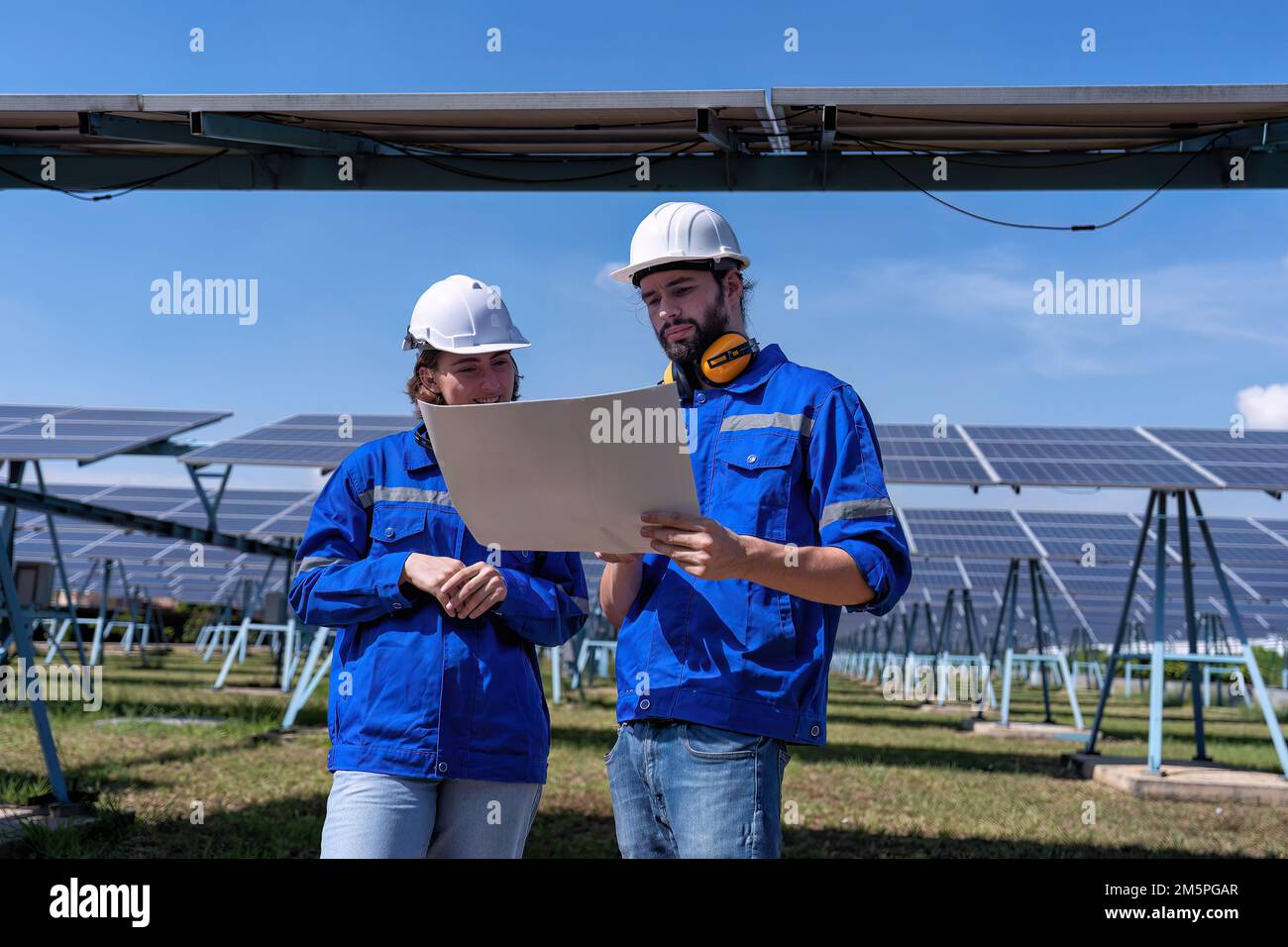 Plant cell drawing hi-res stock photography and images - Alamy