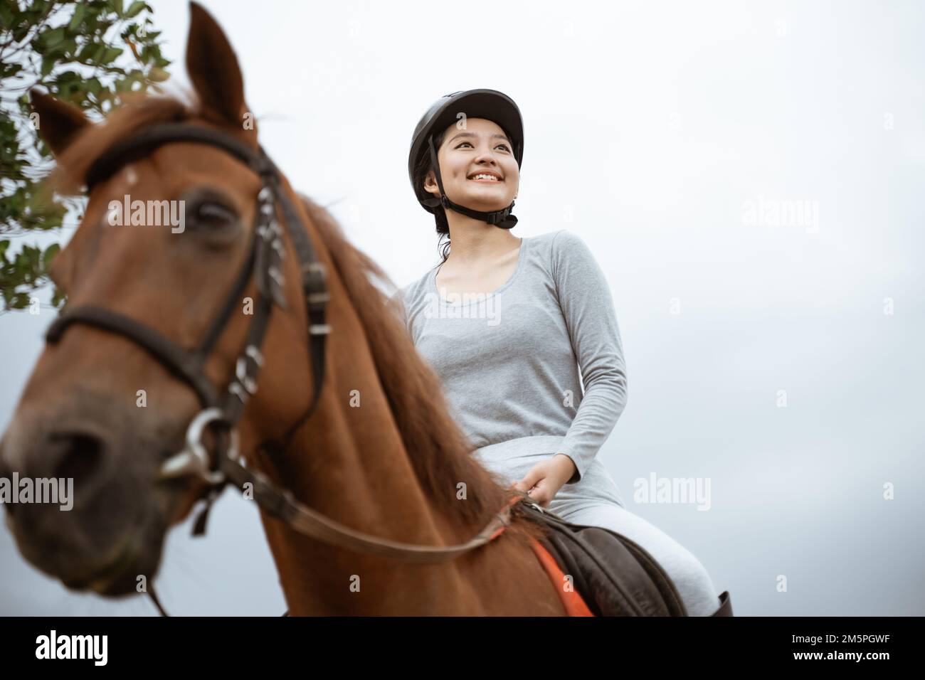 beautiful woman equestrian athlete practicing horse riding on outdoor ...
