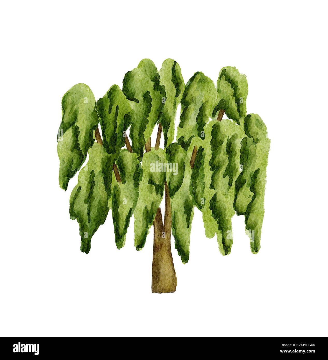 Watercolor forest tree illustration. Hand drawn tree with green leaves ...