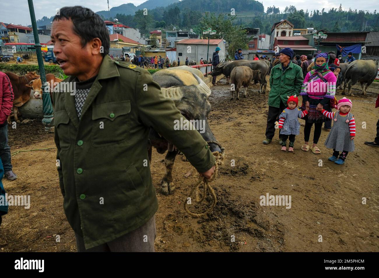 Bac Ha, Vietnam - December 18, 2022: A man selling buffalo at the Bac ...