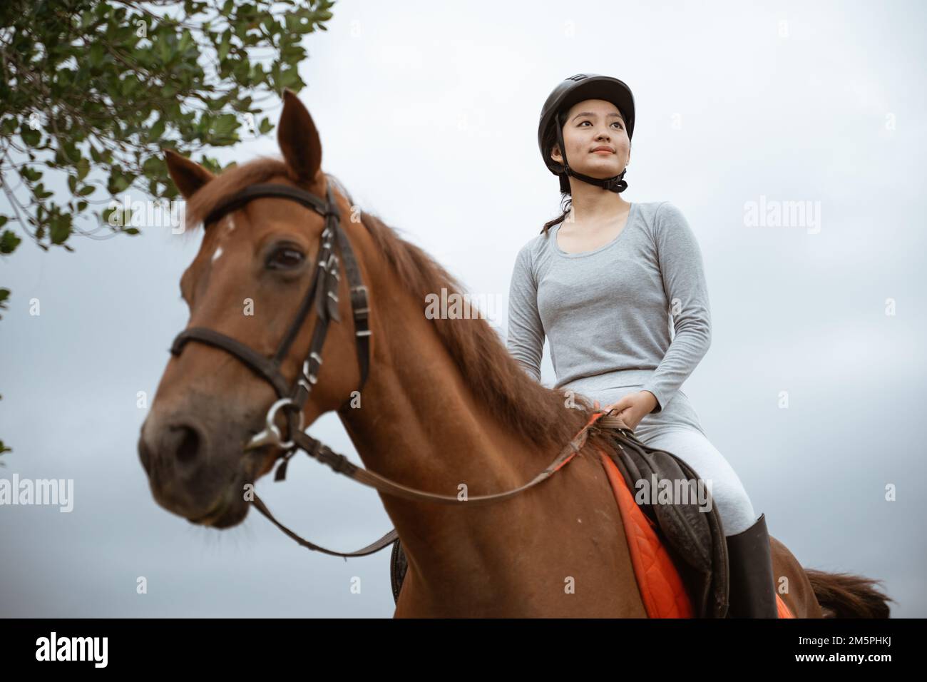 Asian female equestrian riding on horse against white sky background Stock Photo - Alamy