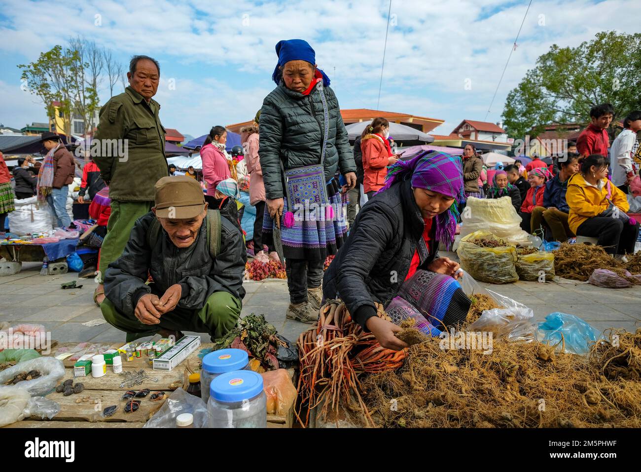 Bac Ha, Vietnam - December 18, 2022: A woman selling vegetables in the ...