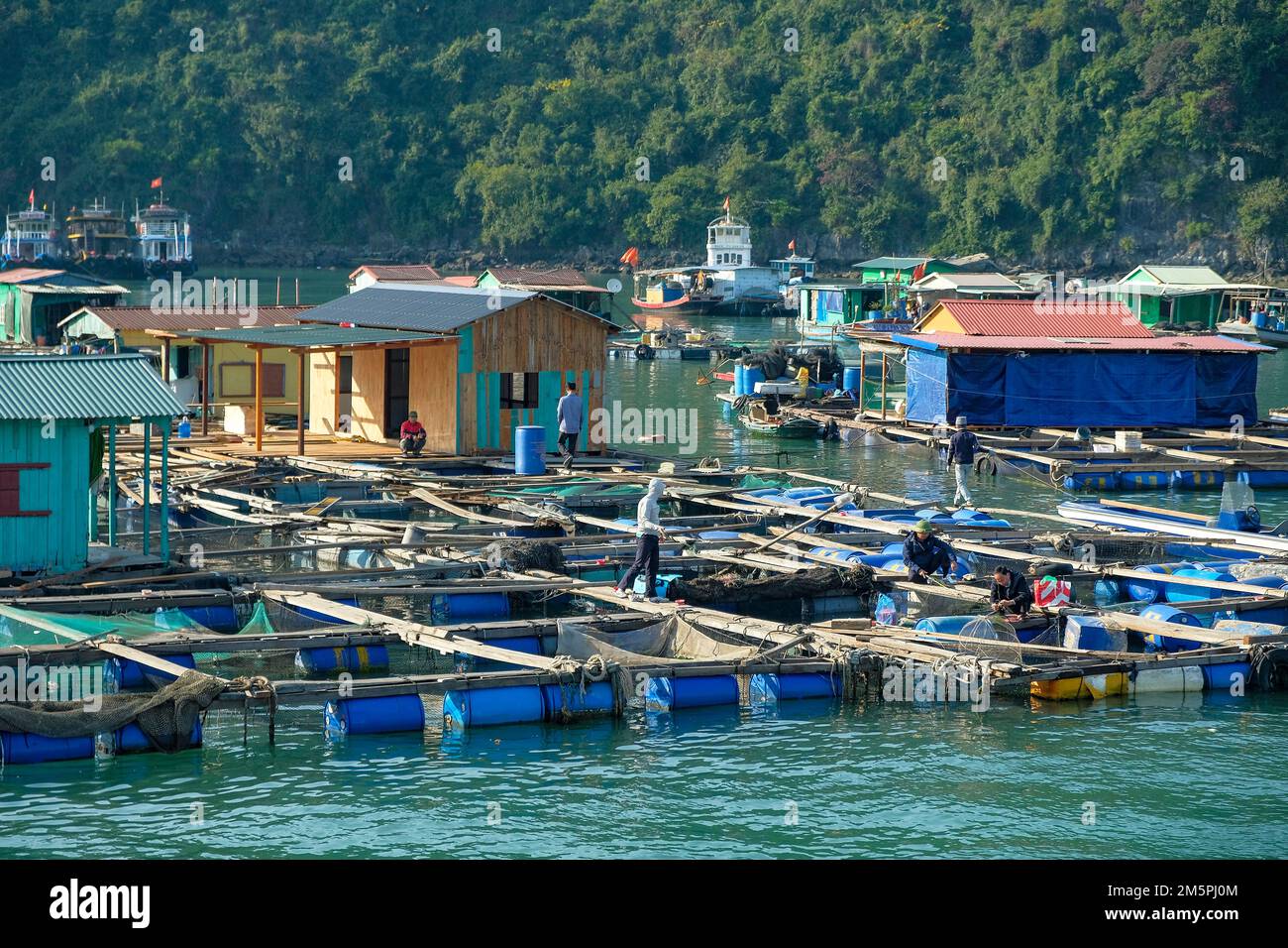 Cat Ba, Vietnam - December 21, 2022: Floating village in Lan Ha Bay in ...