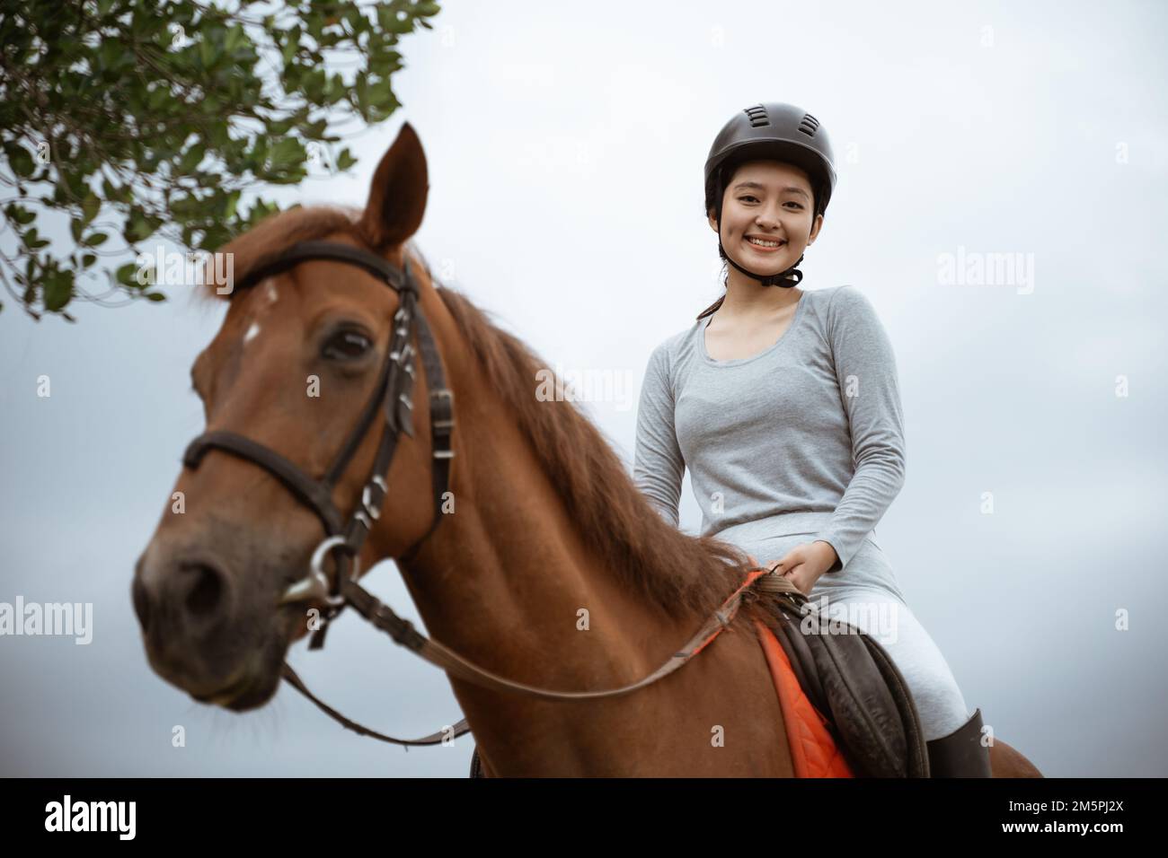 beautiful woman equestrian athlete practicing horse riding on outdoor ...