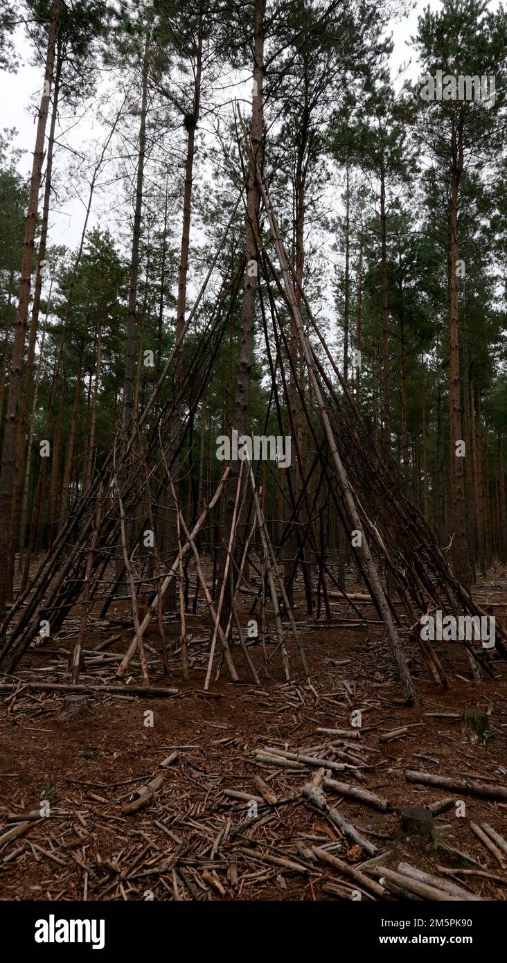 Hut made of branches Stock Photo - Alamy