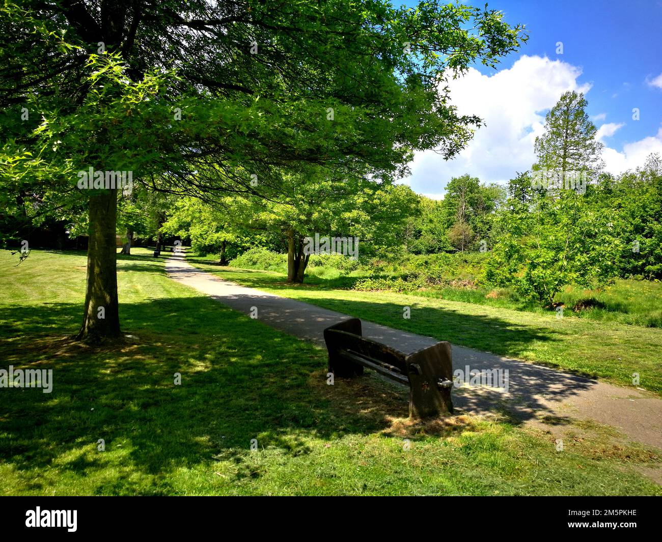 Bench in a park Stock Photo - Alamy