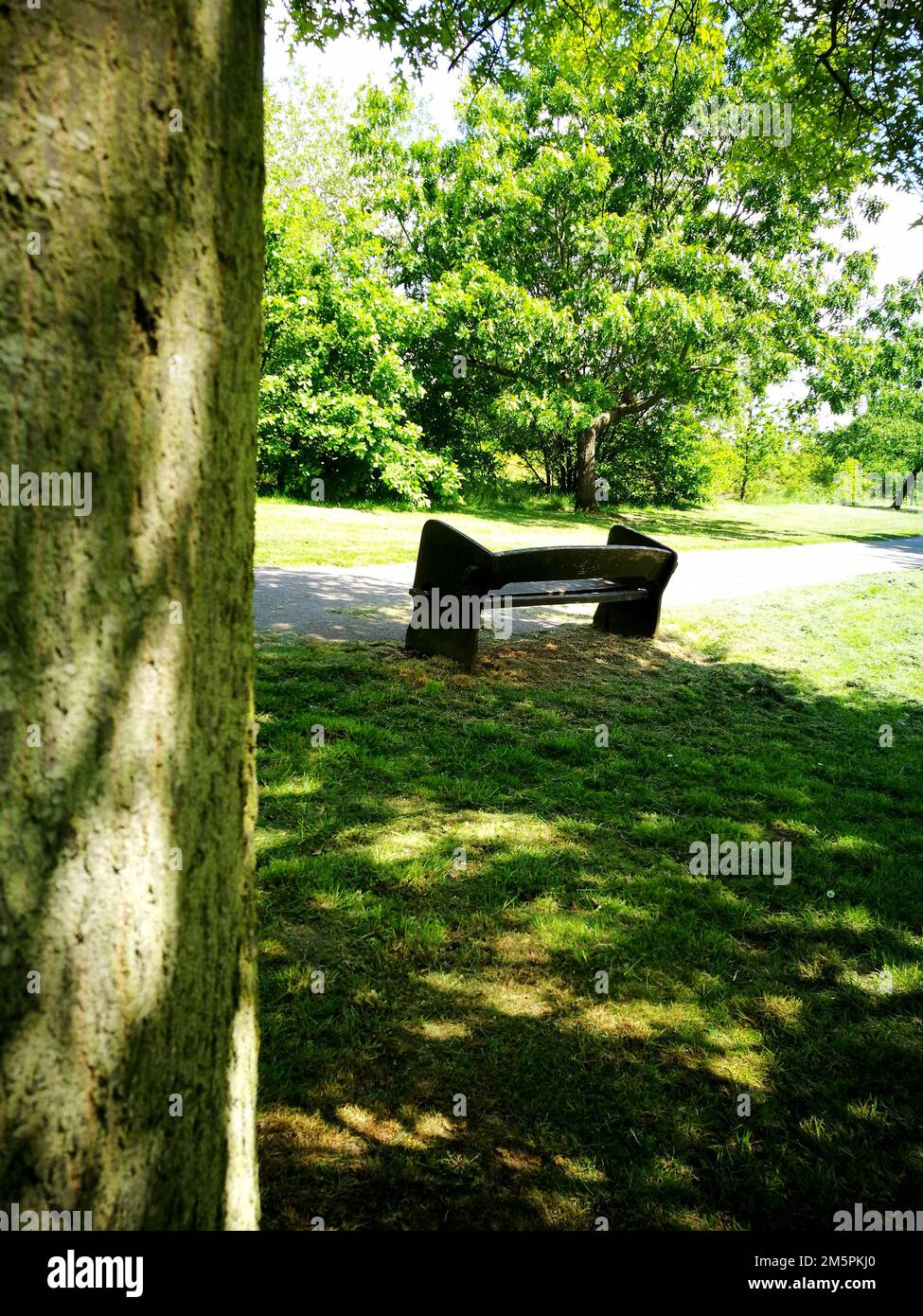 Bench under an oak tree hi-res stock photography and images - Alamy