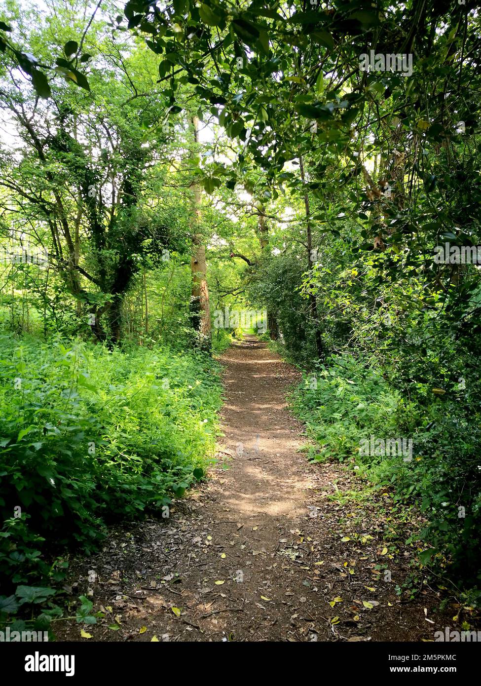 Path protection hi-res stock photography and images - Alamy